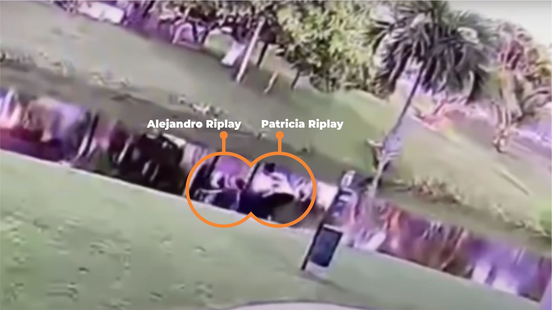 Niño autista ALEJANDRO RIPLEY fue empujado por su MADRE para morir ...